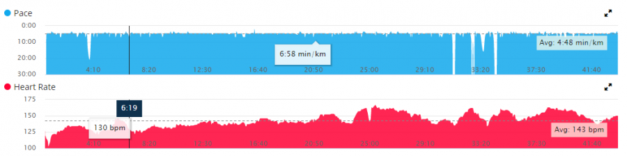 Importance of Slow Long Runs – Progressive Running